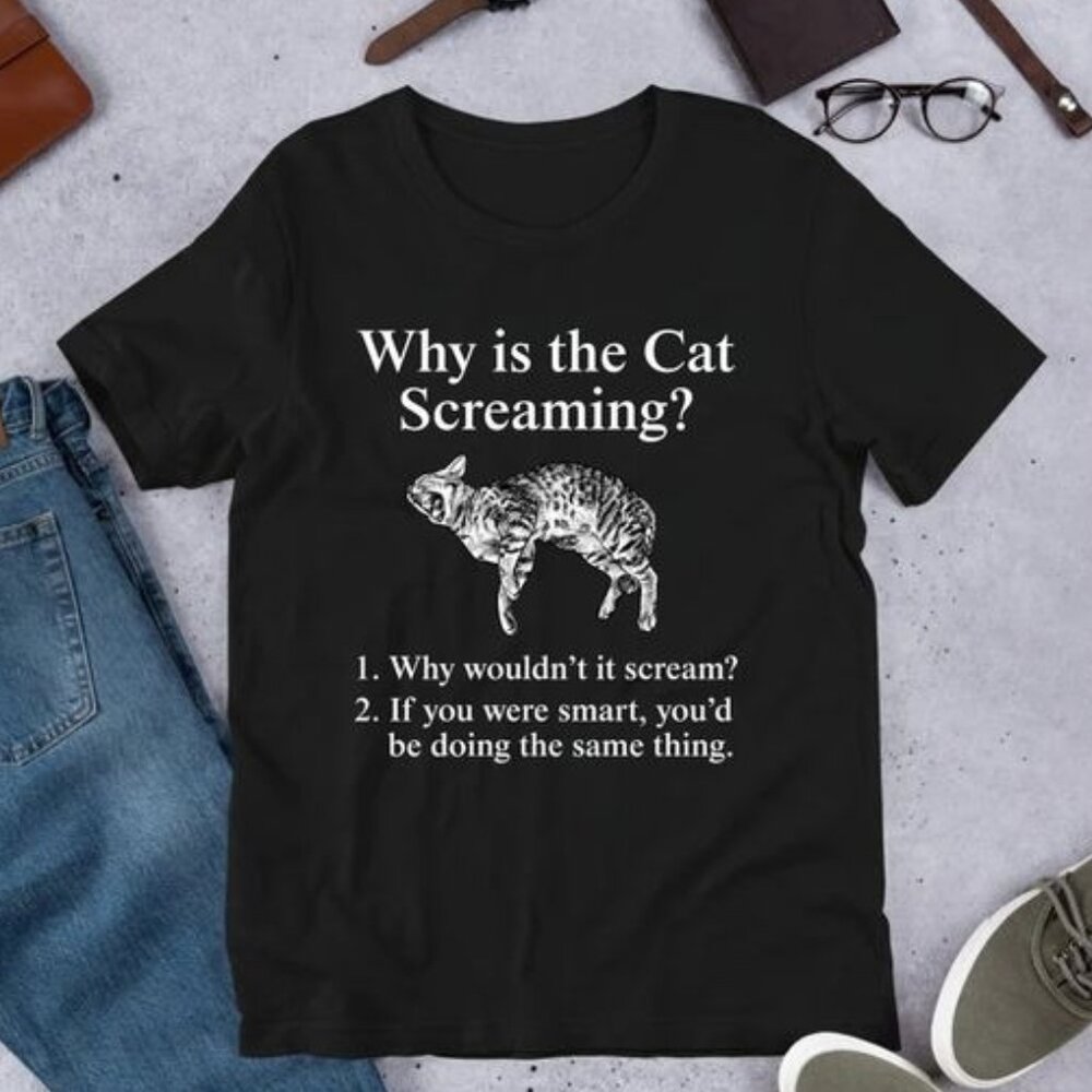 Why Is The Cat Screaming, Funny Meme Shirt, Ironic Sh… - Gem